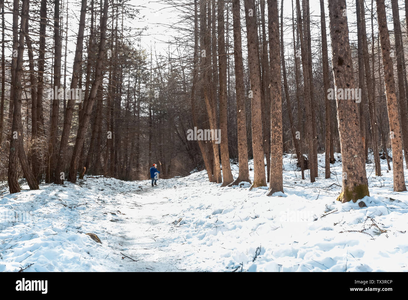 Top of the Qinling Mountains Stock Photo - Alamy