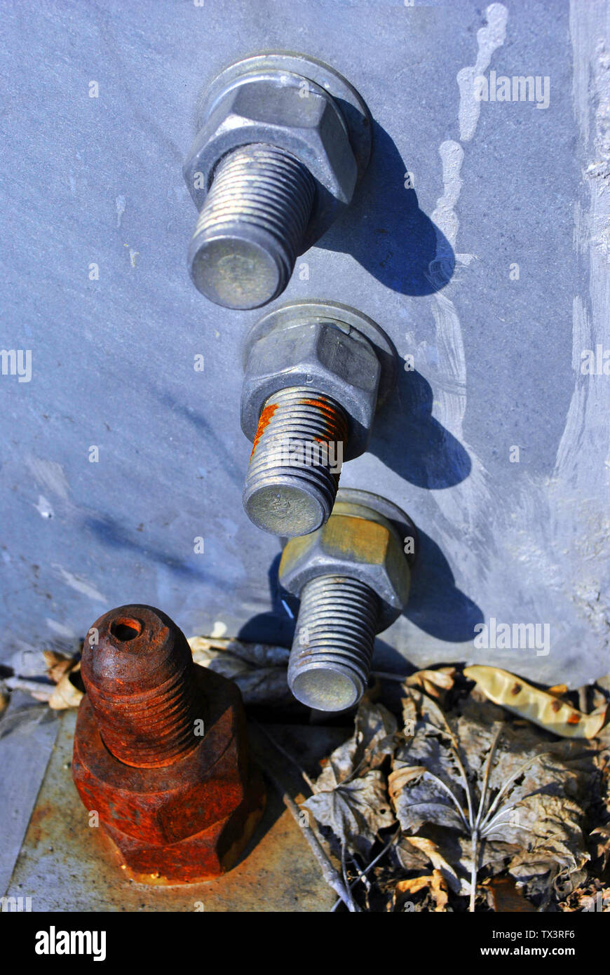 Bolts and nuts on vertical metal surface, top view Stock Photo - Alamy