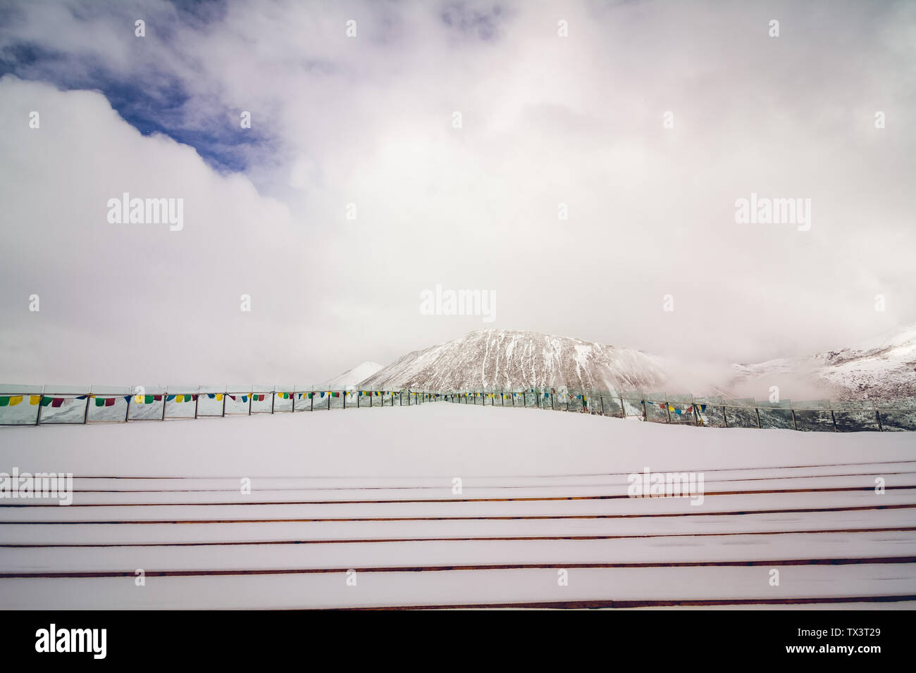 Muya hi-res stock photography and images - Alamy