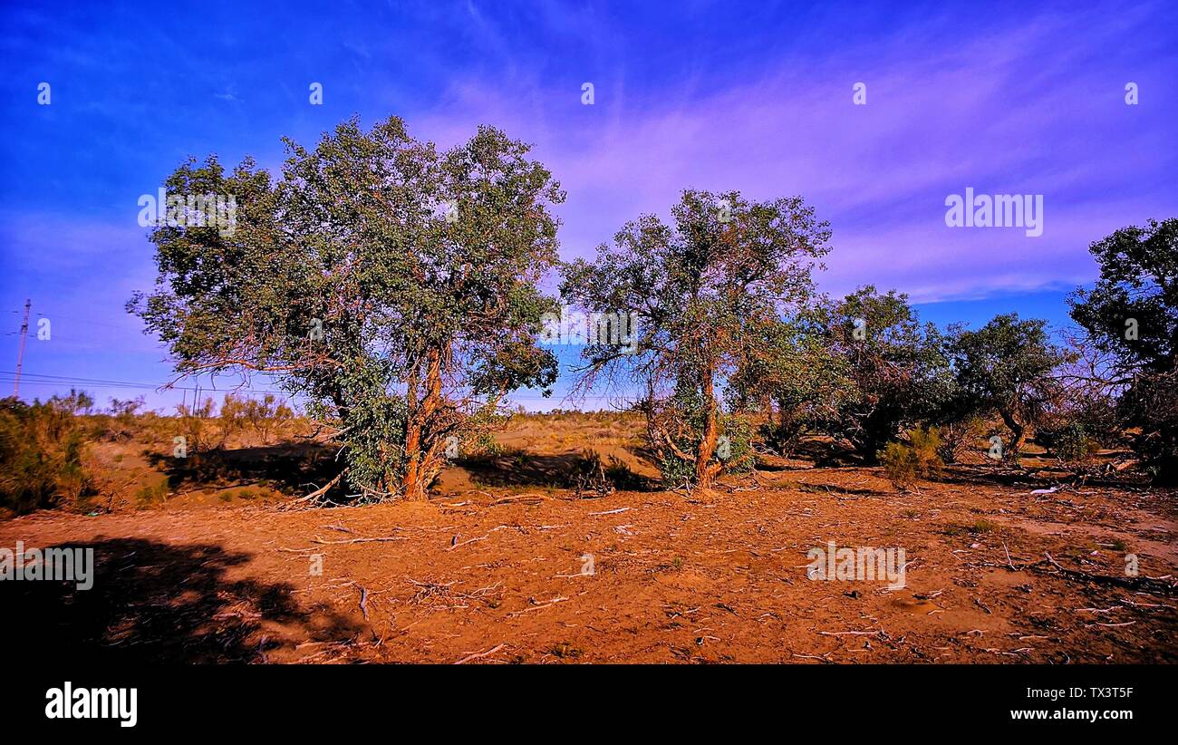 Landscape of the Karamay Stock Photo - Alamy