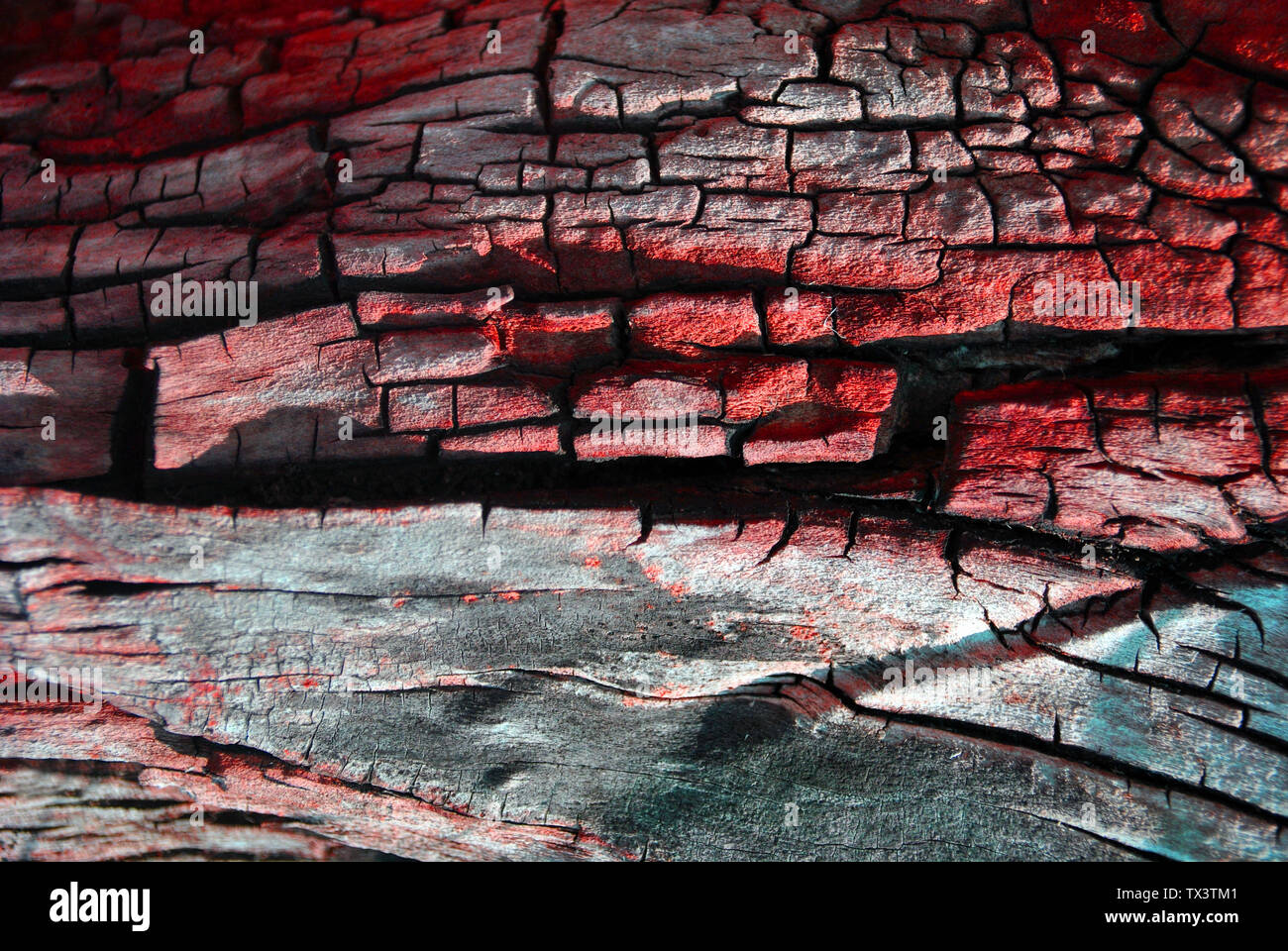 Old shabby tree trunk surface with burned stains, red palette ...