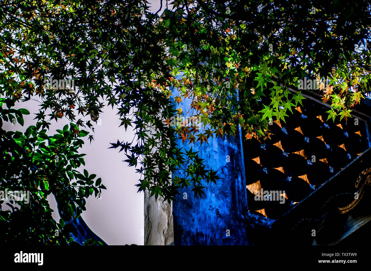 Autumn Color in Suzhou Garden Stock Photo - Alamy