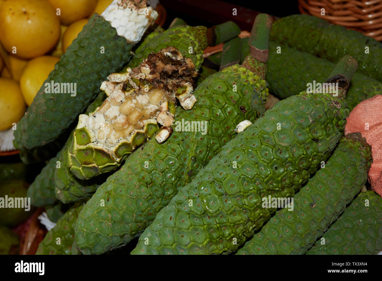 Monstera deliciosa – Philodendron fruit in the Mercado dos Lavradores ...