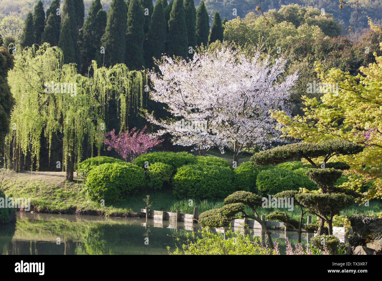 Beautiful scenery of Wuxi garden Stock Photo - Alamy