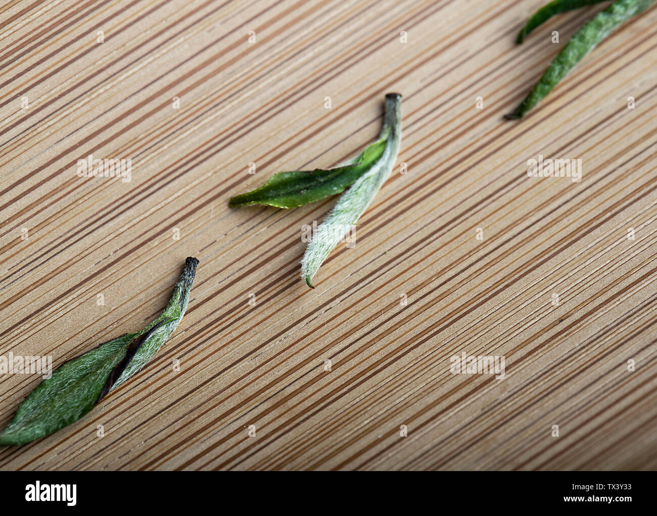 Mao bird hi-res stock photography and images - Alamy