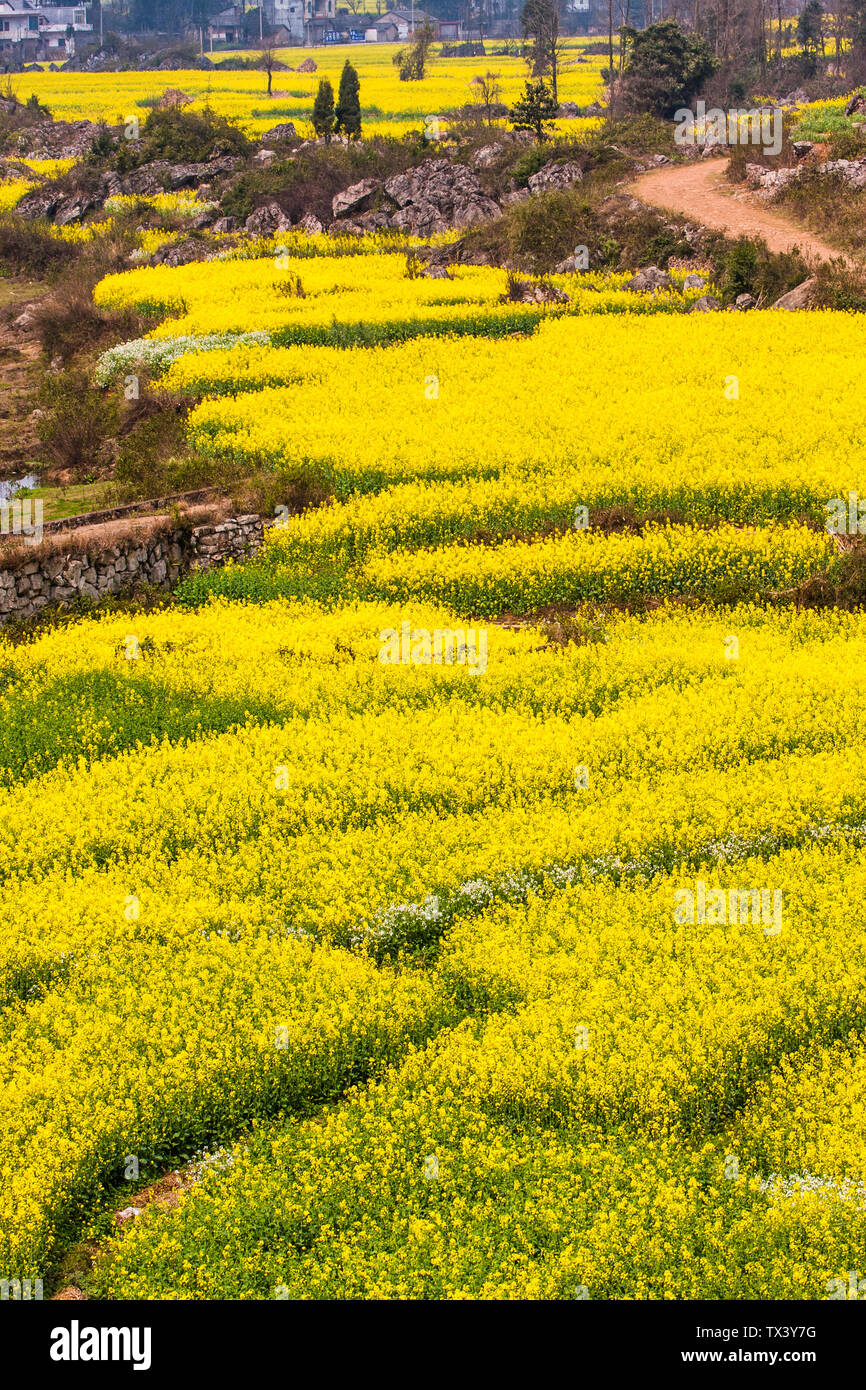 Ropin hi-res stock photography and images - Alamy