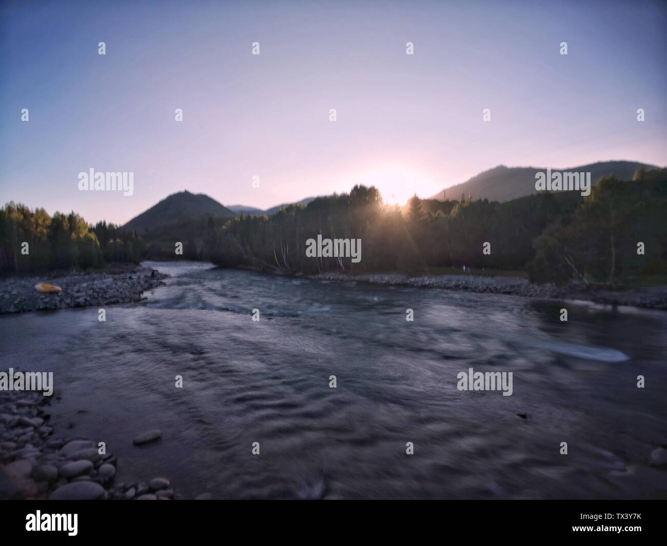 Grasses and kanas hi-res stock photography and images - Alamy