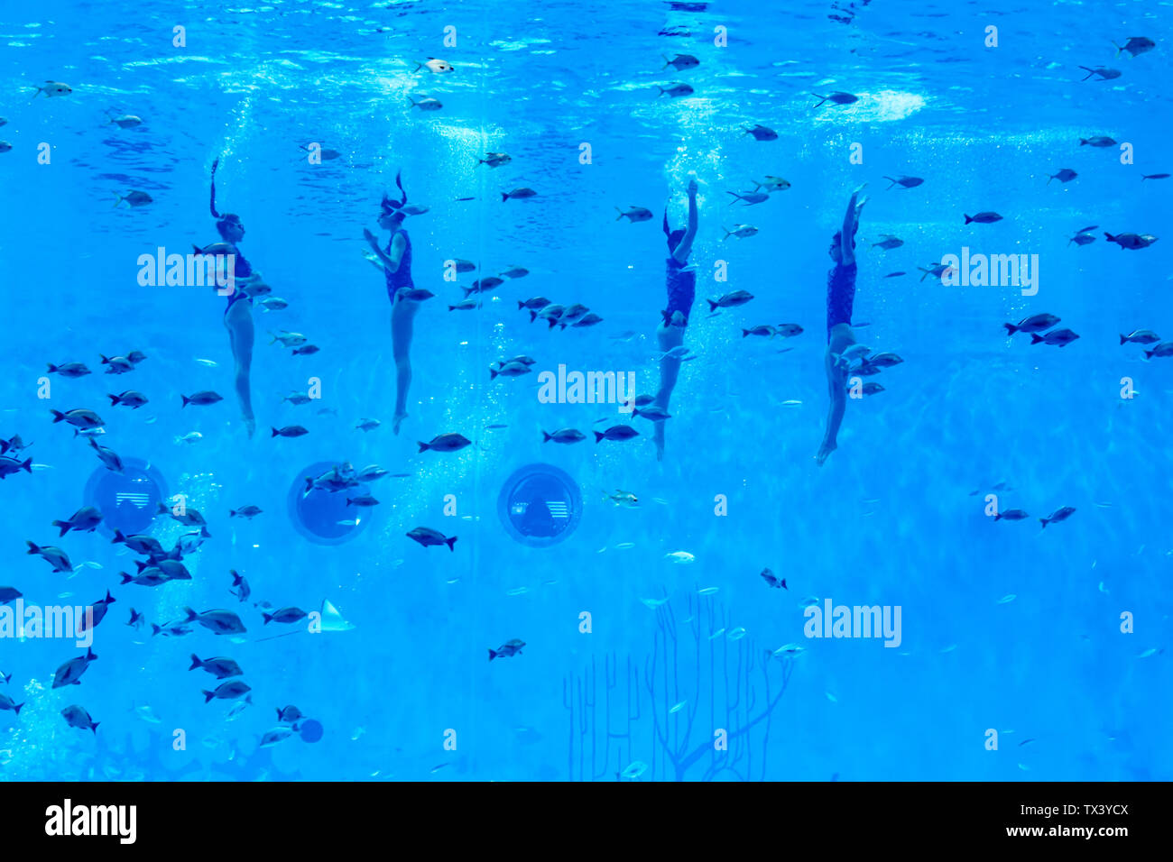 Mermaid performance at Haichang Ocean Park, Shanghai Stock Photo - Alamy