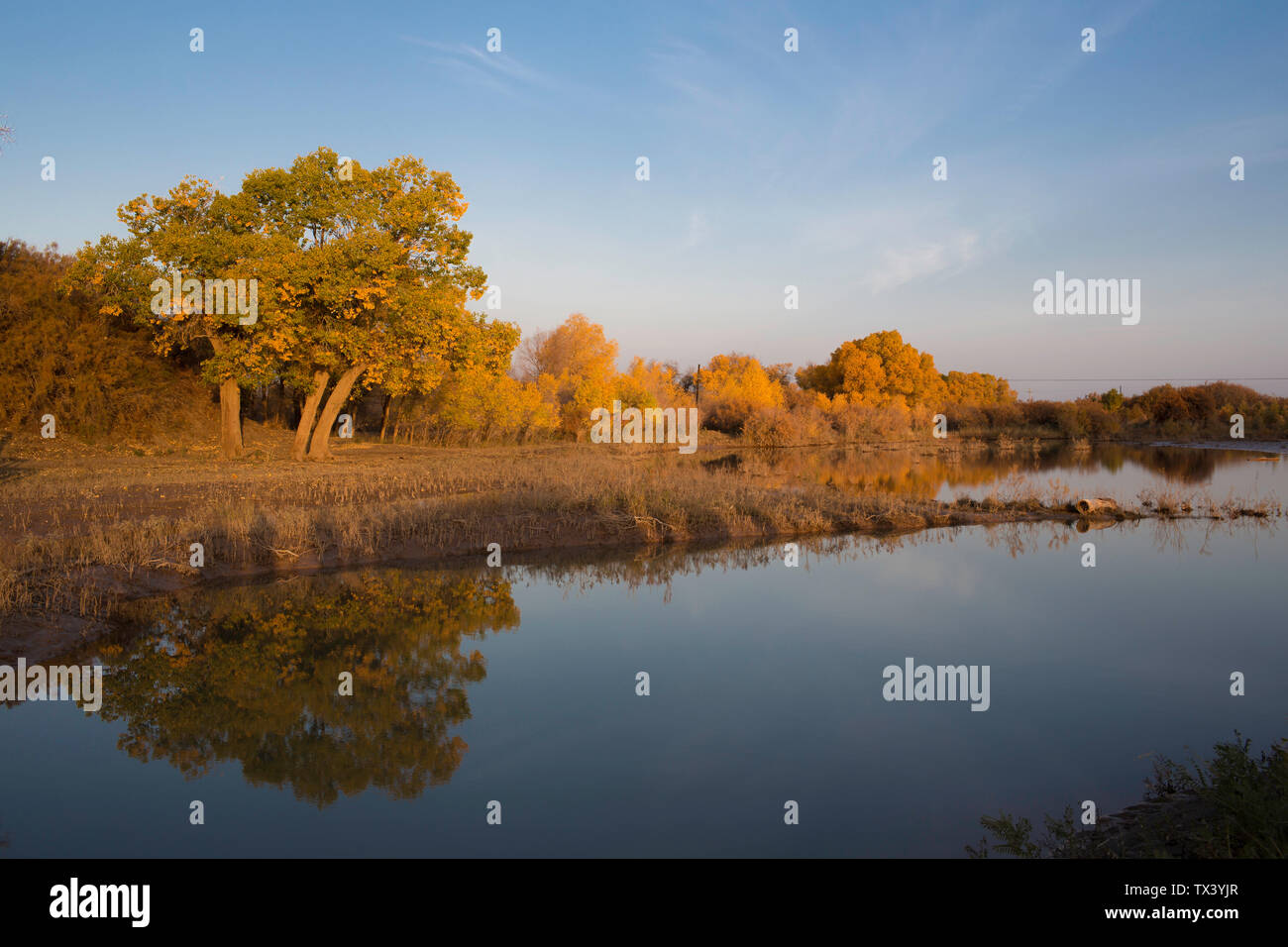 Hu yang and hu yang lin hi-res stock photography and images - Alamy