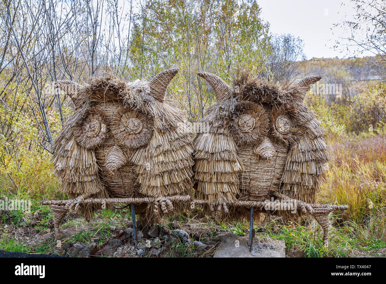 Birds protection in Sun Lake Scenic Area Stock Photo - Alamy
