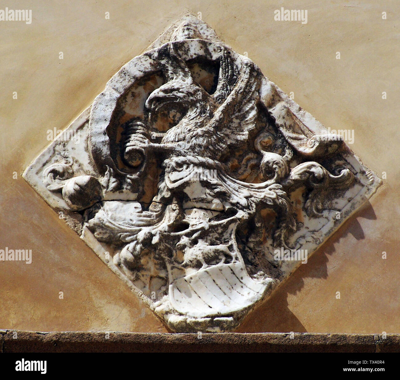 Stemma Grifeo High Resolution Stock Photography and Images - Alamy