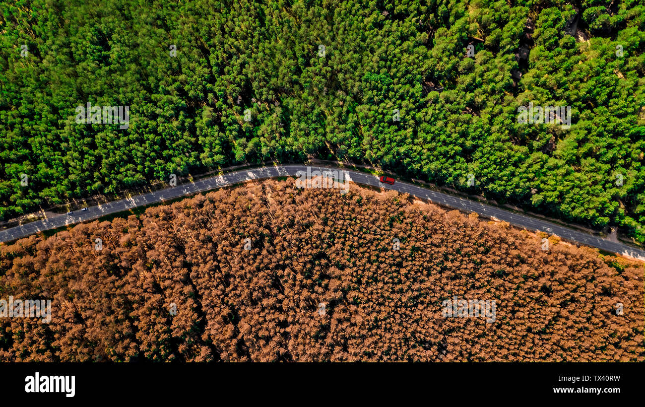 Car rides on forest road hi-res stock photography and images - Alamy