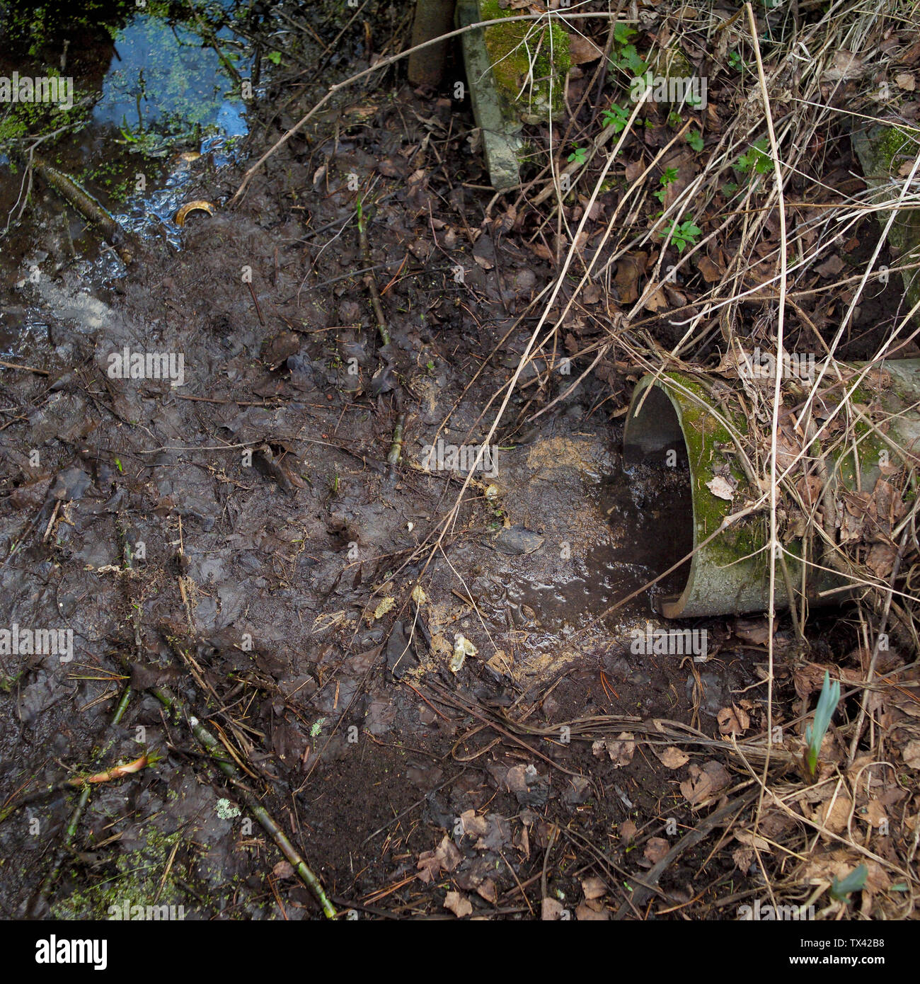 Outdoor Shot Leak High Resolution Stock Photography and Images - Alamy