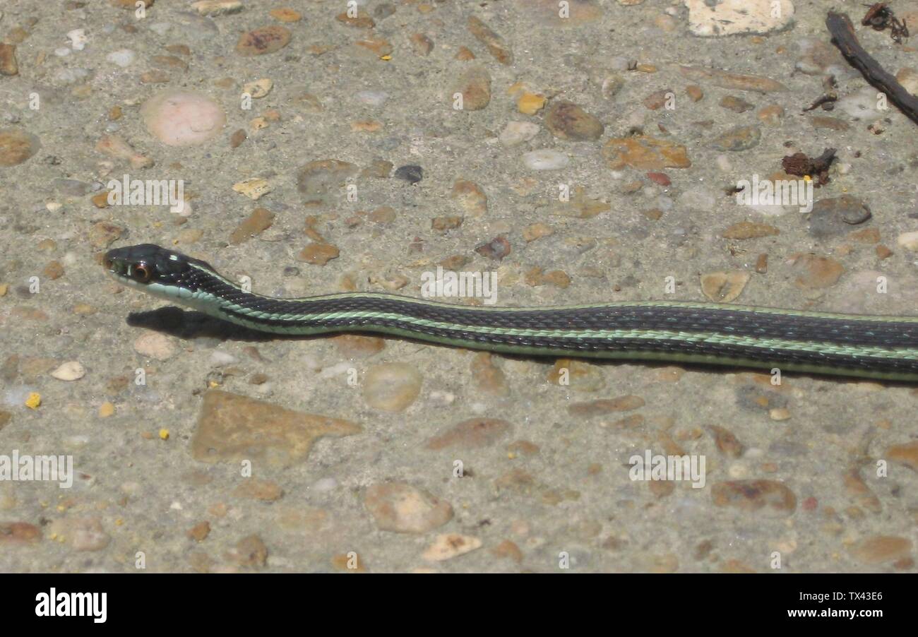 0005 High Resolution Stock Photography and Images - Alamy