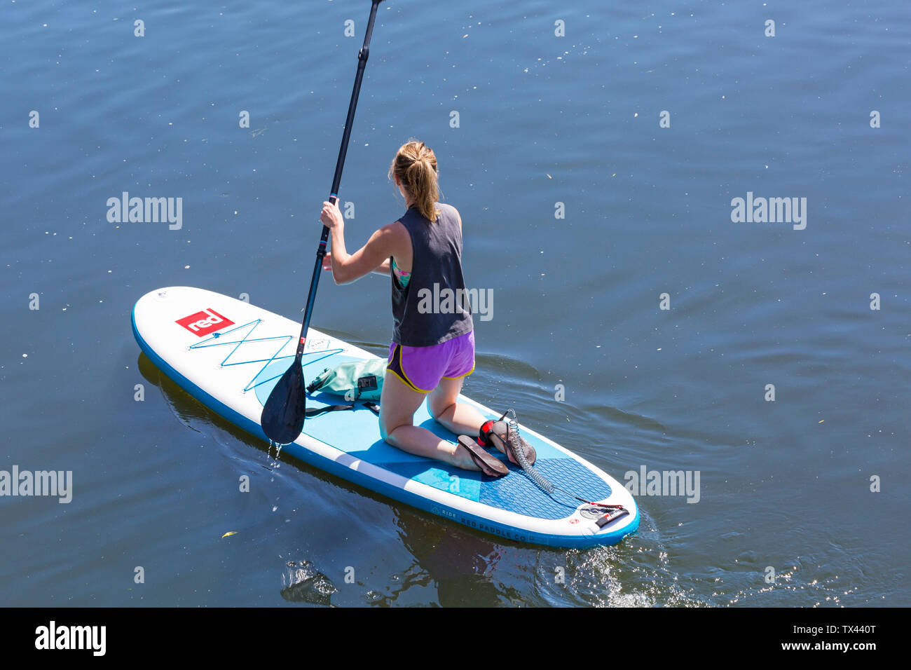 Woman paddleboarder paddle boarder kneeling down on paddleboard paddle ...