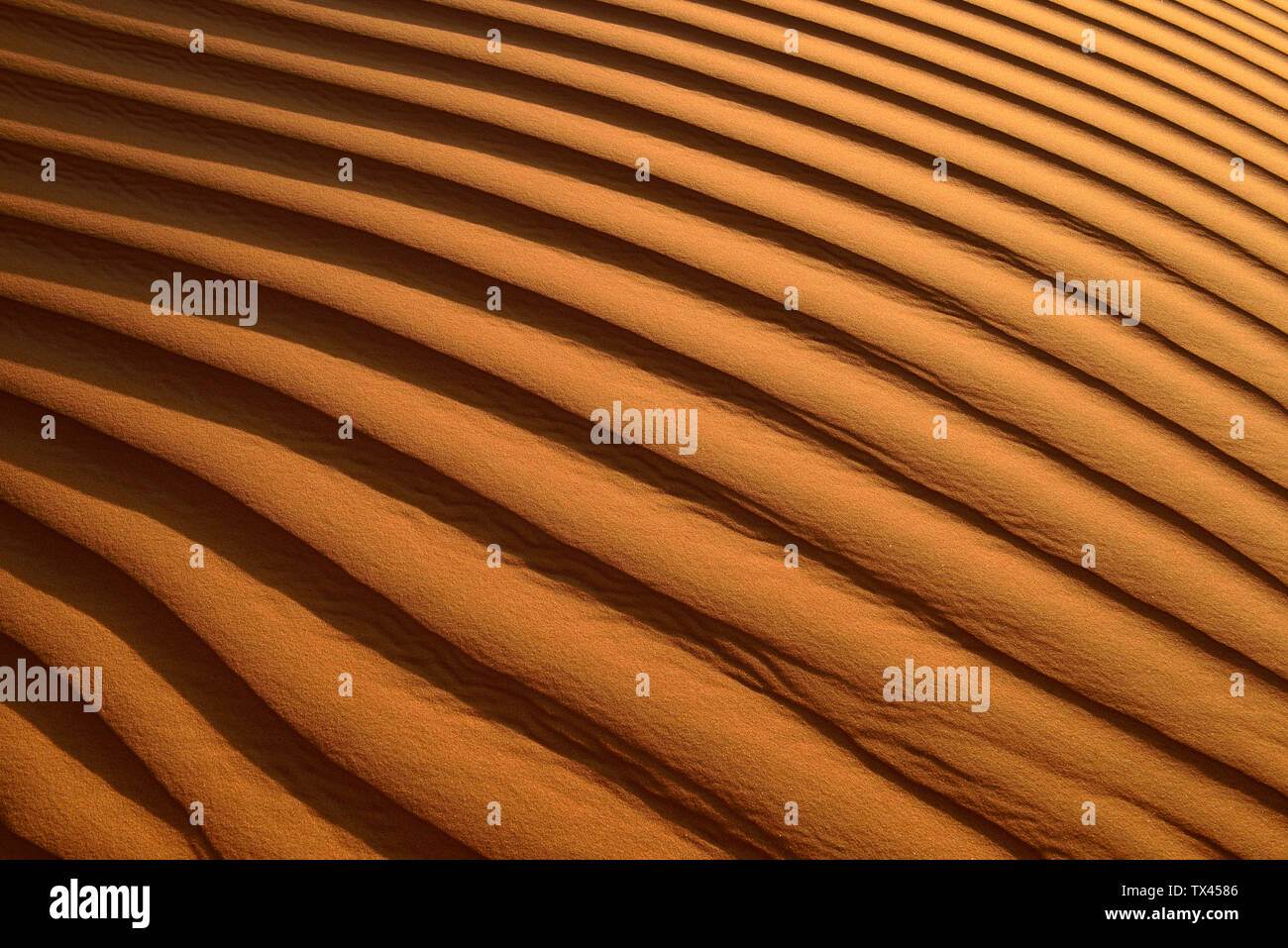 United Arab Emirates, Rub' al Khali, desert sand and ripple marks Stock ...