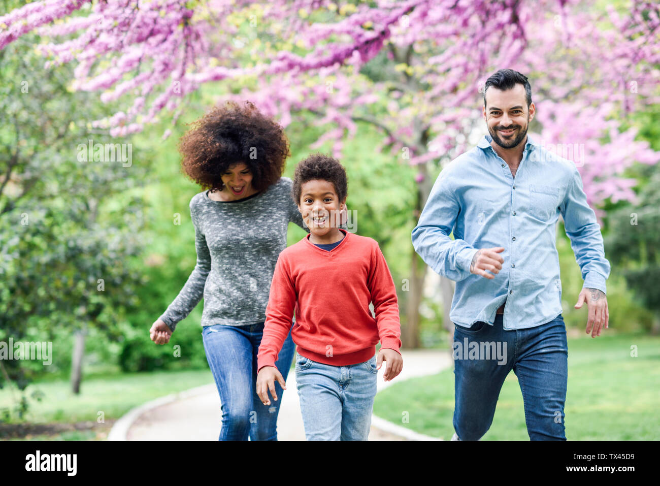 Happy family running and playing in a park Stock Photo - Alamy
