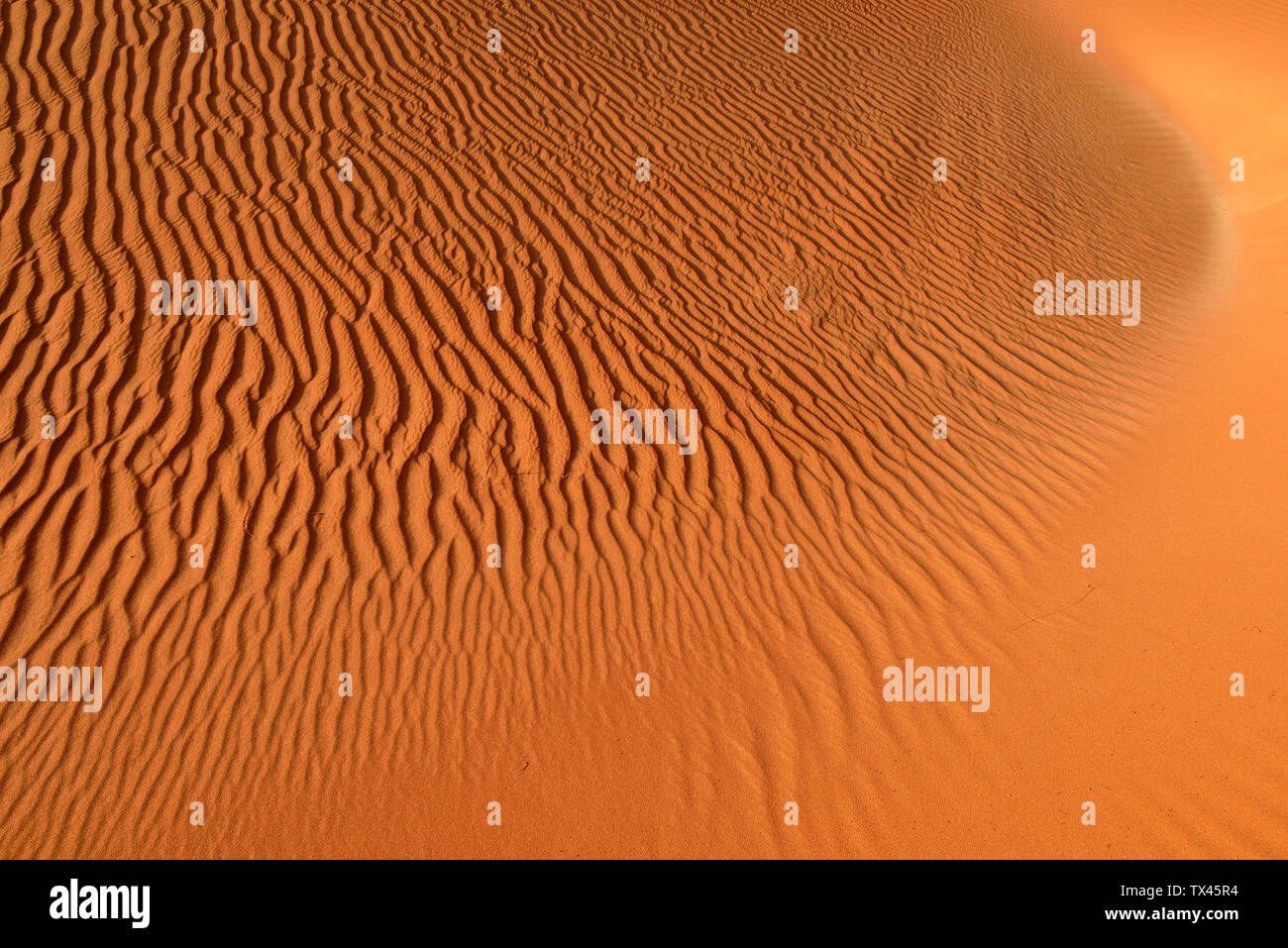 United Arab Emirates, Rub' al Khali, desert sand and ripple marks Stock ...