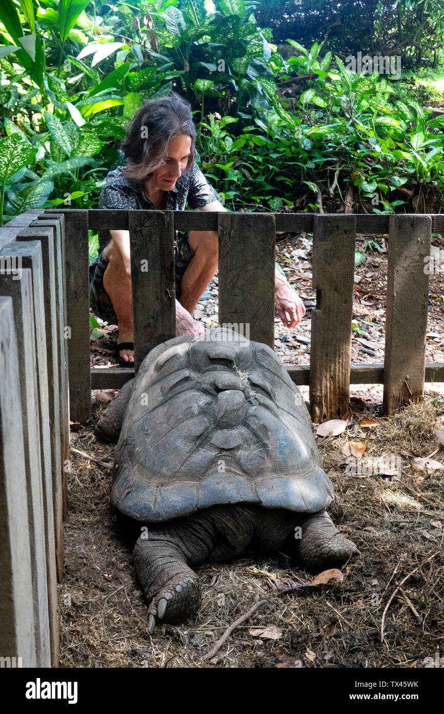 Seychelles, tourist watching Seychelles giant tortoise Stock Photo - Alamy
