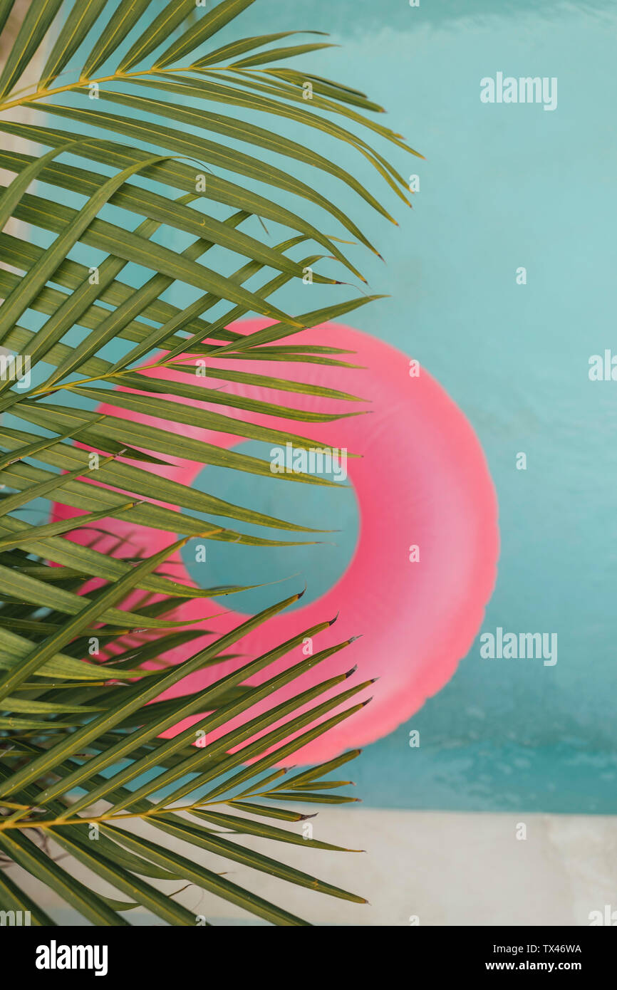 Palm leaf and pink inflatable ring in swimming pool Stock Photo - Alamy