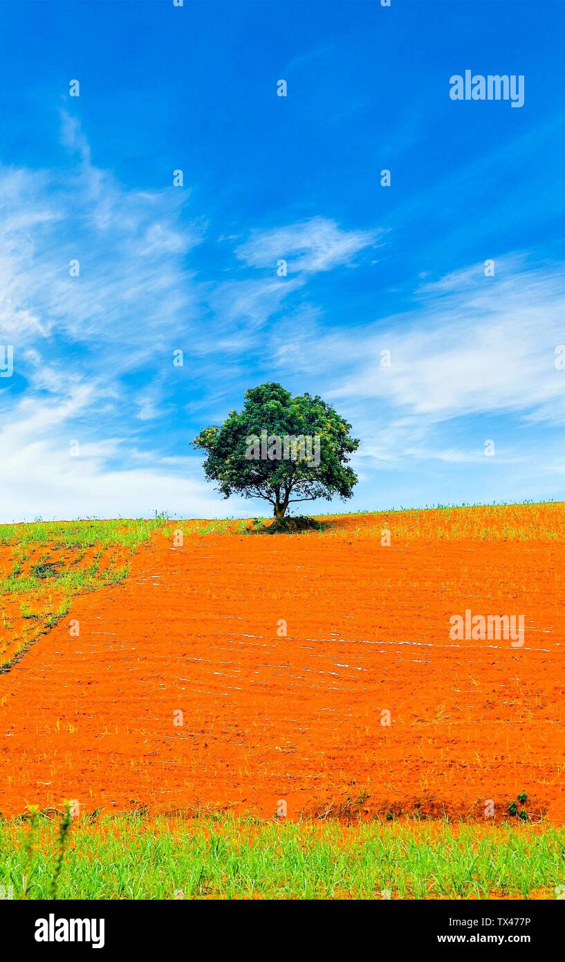 Red land, watch Stock Photo - Alamy