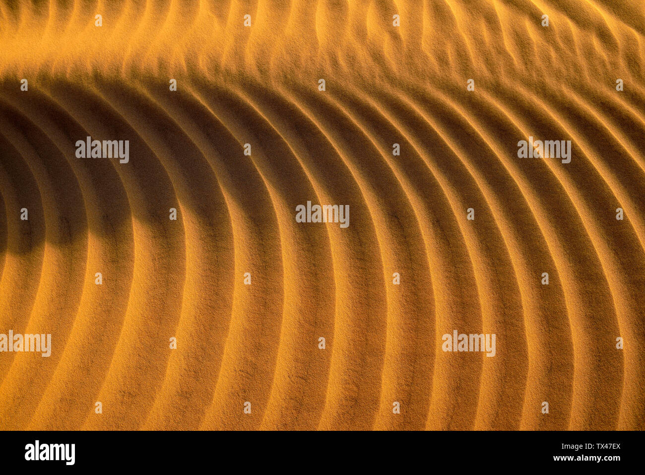 United Arab Emirates, Rub' al Khali, desert sand and ripple marks Stock ...