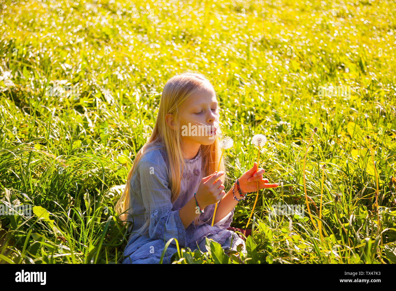 Girl sitting in field with blowball Stock Photo - Alamy