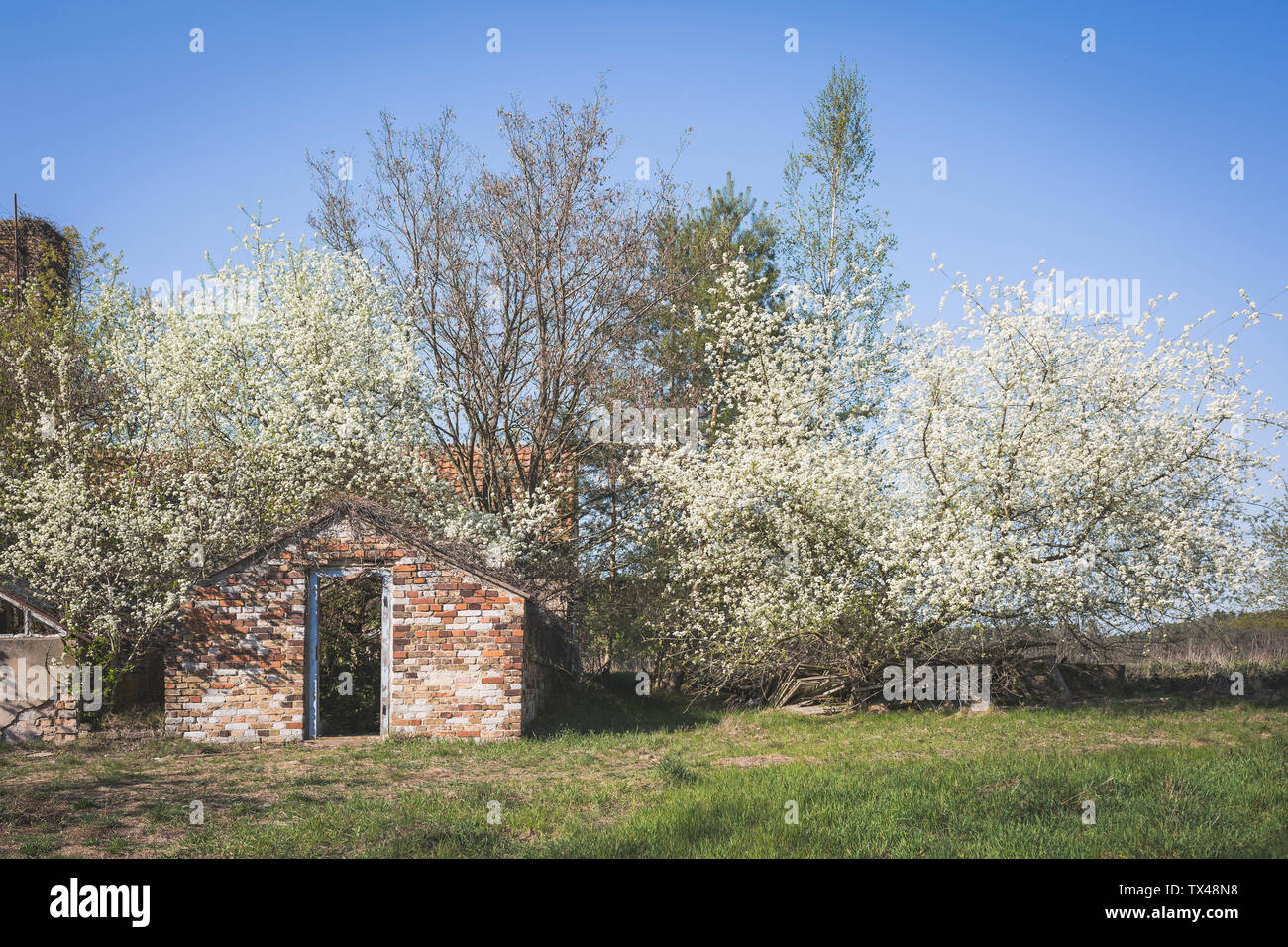 Spring in germany hi-res stock photography and images - Alamy