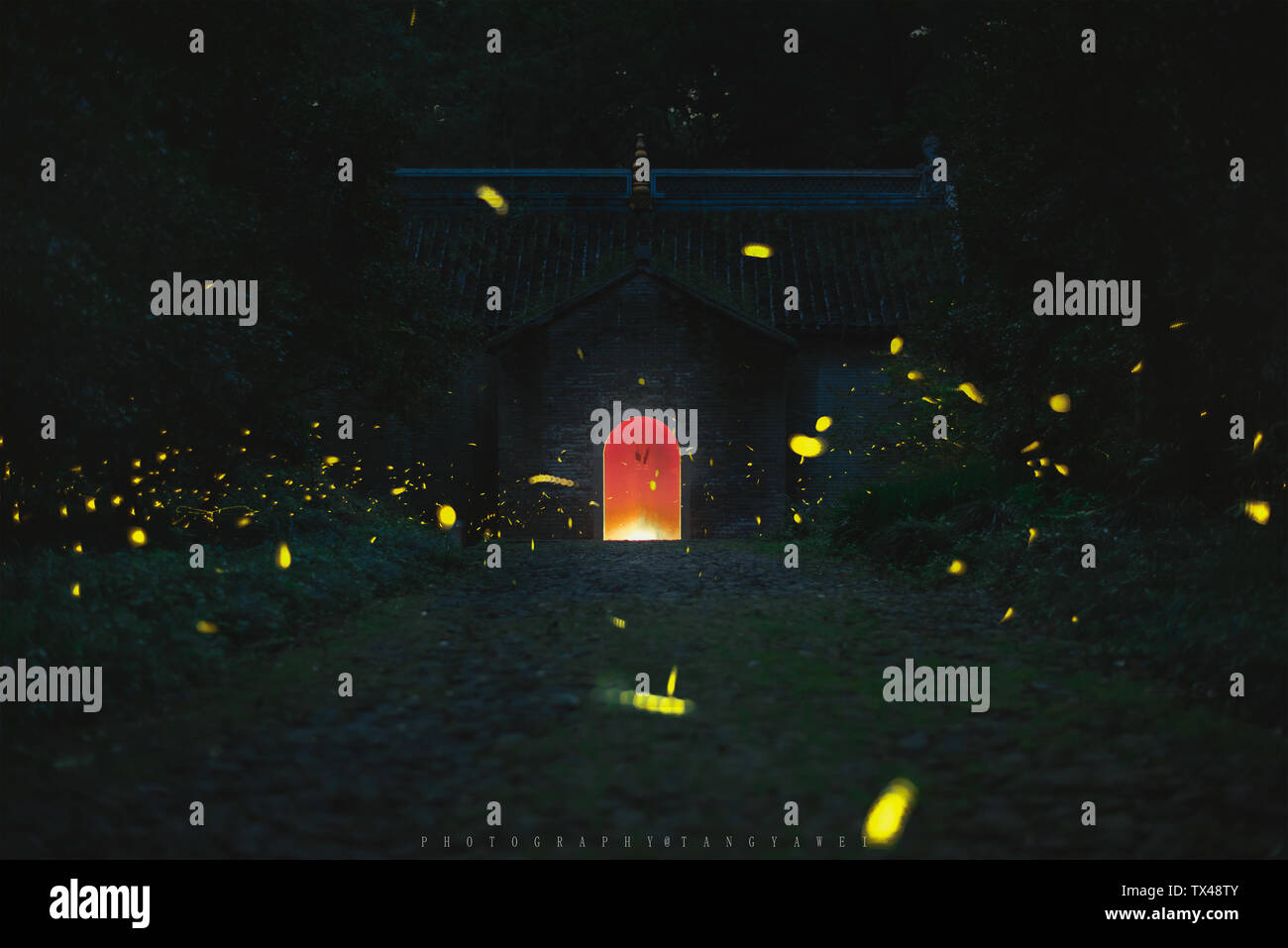 Fireflies night winter hi-res stock photography and images - Alamy