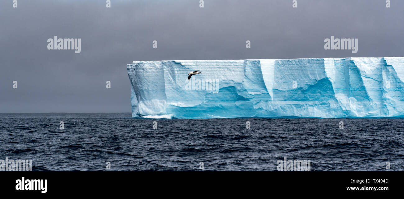 Massive iceberg floating in the Southern Ocean, Antarctica Stock Photo ...