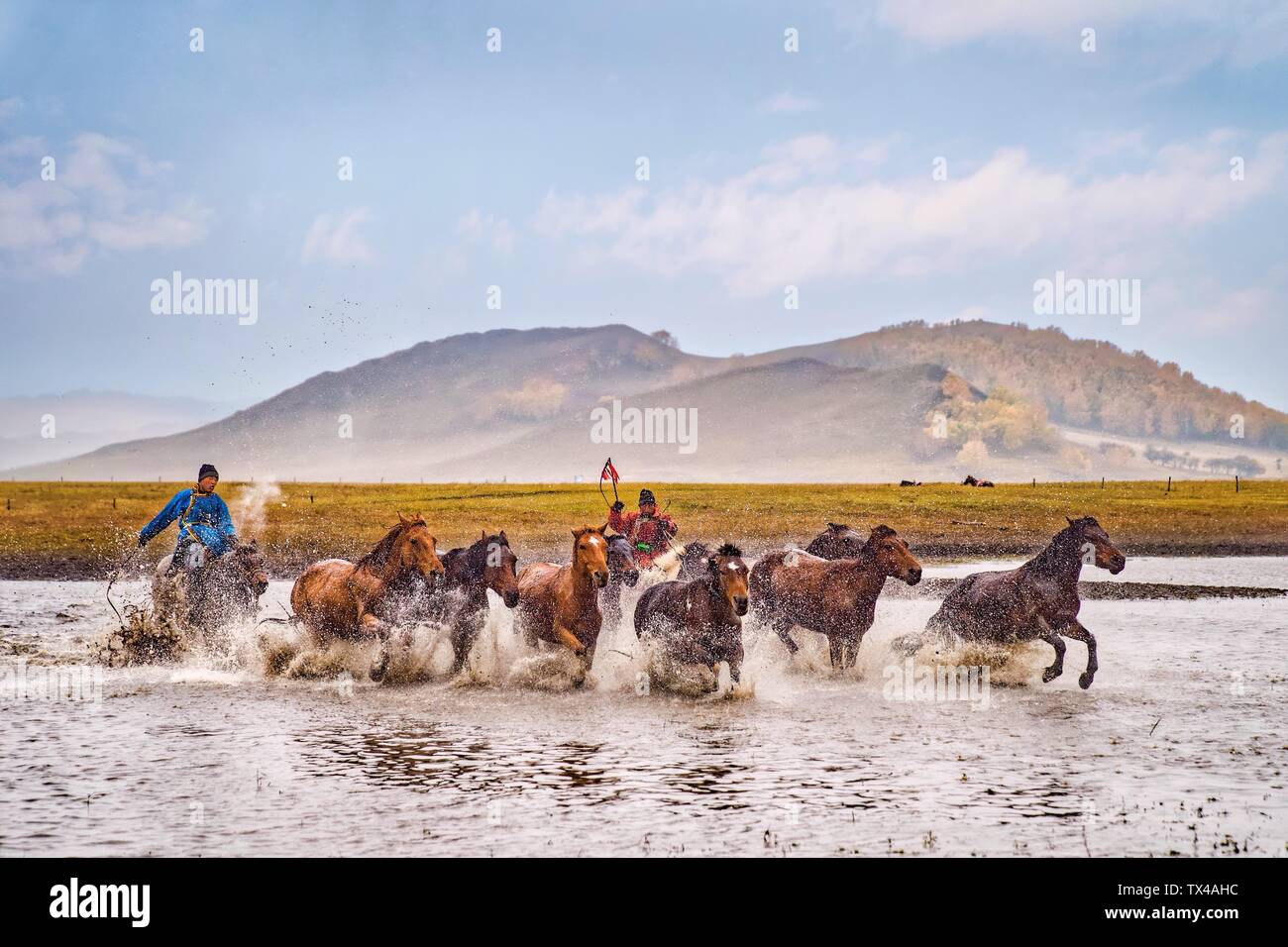 Tread animals hi-res stock photography and images - Alamy