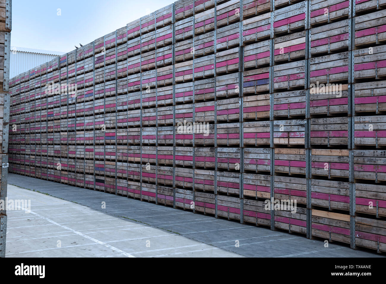 Stacks of crates on factory yard Stock Photo - Alamy