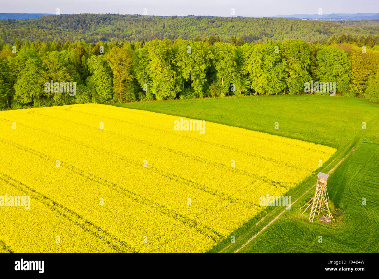 Germany, Baden-Wuerttemberg, Swabian Forest, aerial view of fields with ...