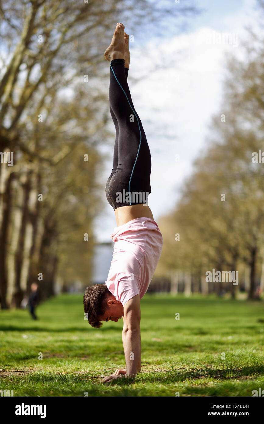 Sport Dogs Doing Handstand