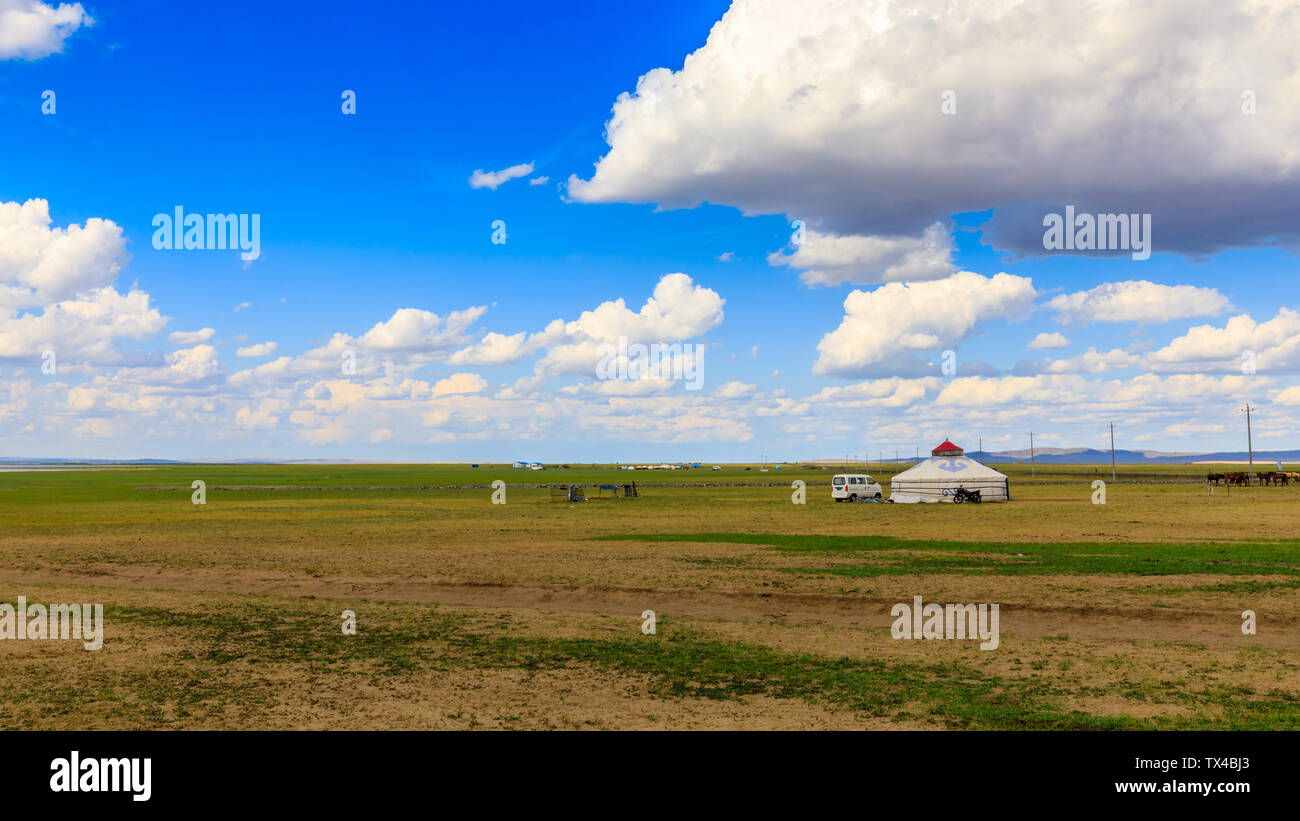 Summer in Hulunbuir Prairie, Inner Mongolia Stock Photo - Alamy