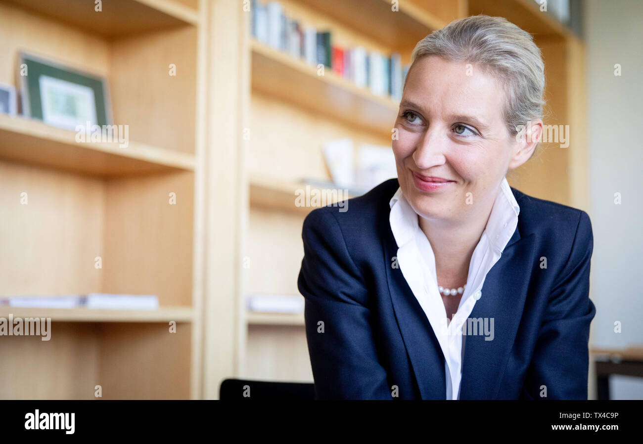 24 June 2019, Berlin: Alice Weidel, leader of the AfD parliamentary ...