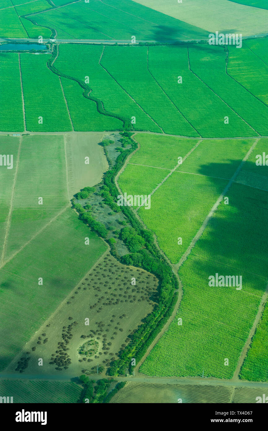 Maui hawaii field hi-res stock photography and images - Alamy