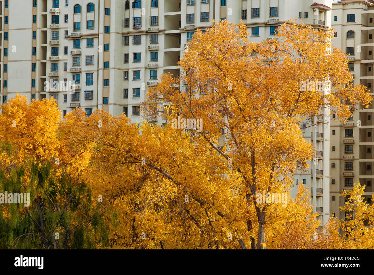 Hu Yang and the building Stock Photo - Alamy