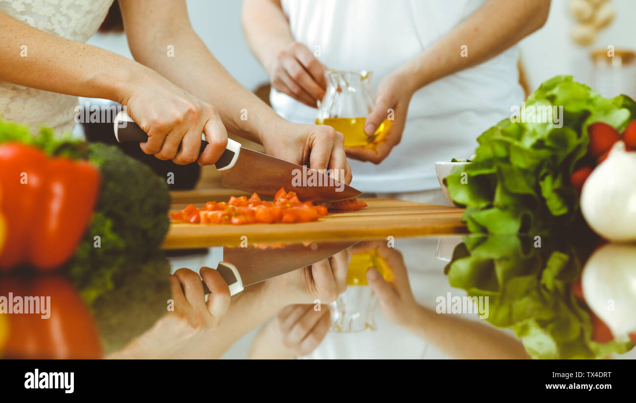 Closeup of human hands cooking in kitchen. Mother and daughter or two ...