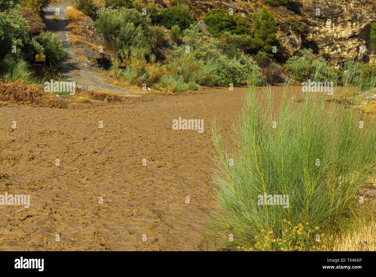 Rambla de oria hi-res stock photography and images - Alamy