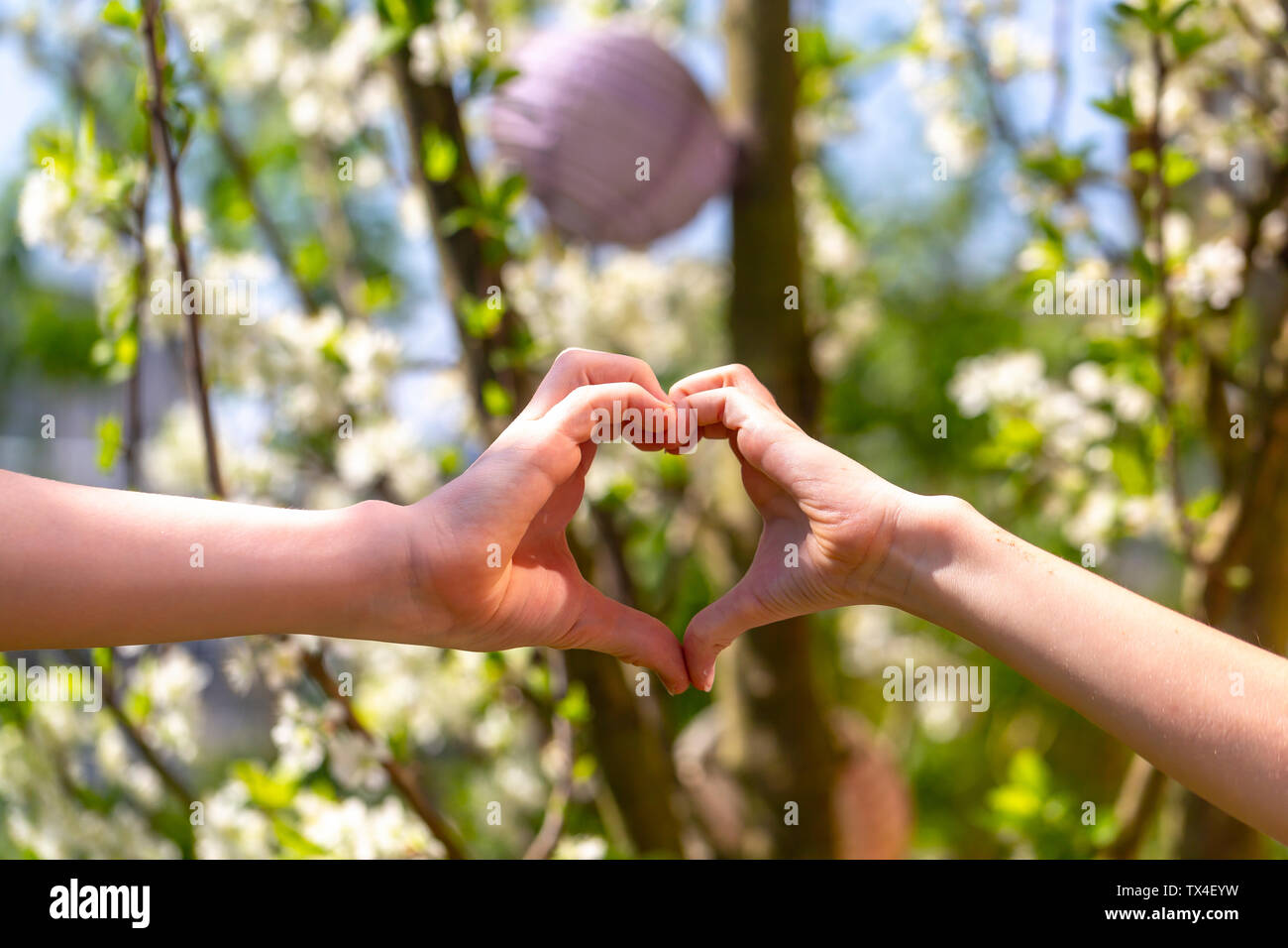 Boy heart in hand hi-res stock photography and images - Alamy