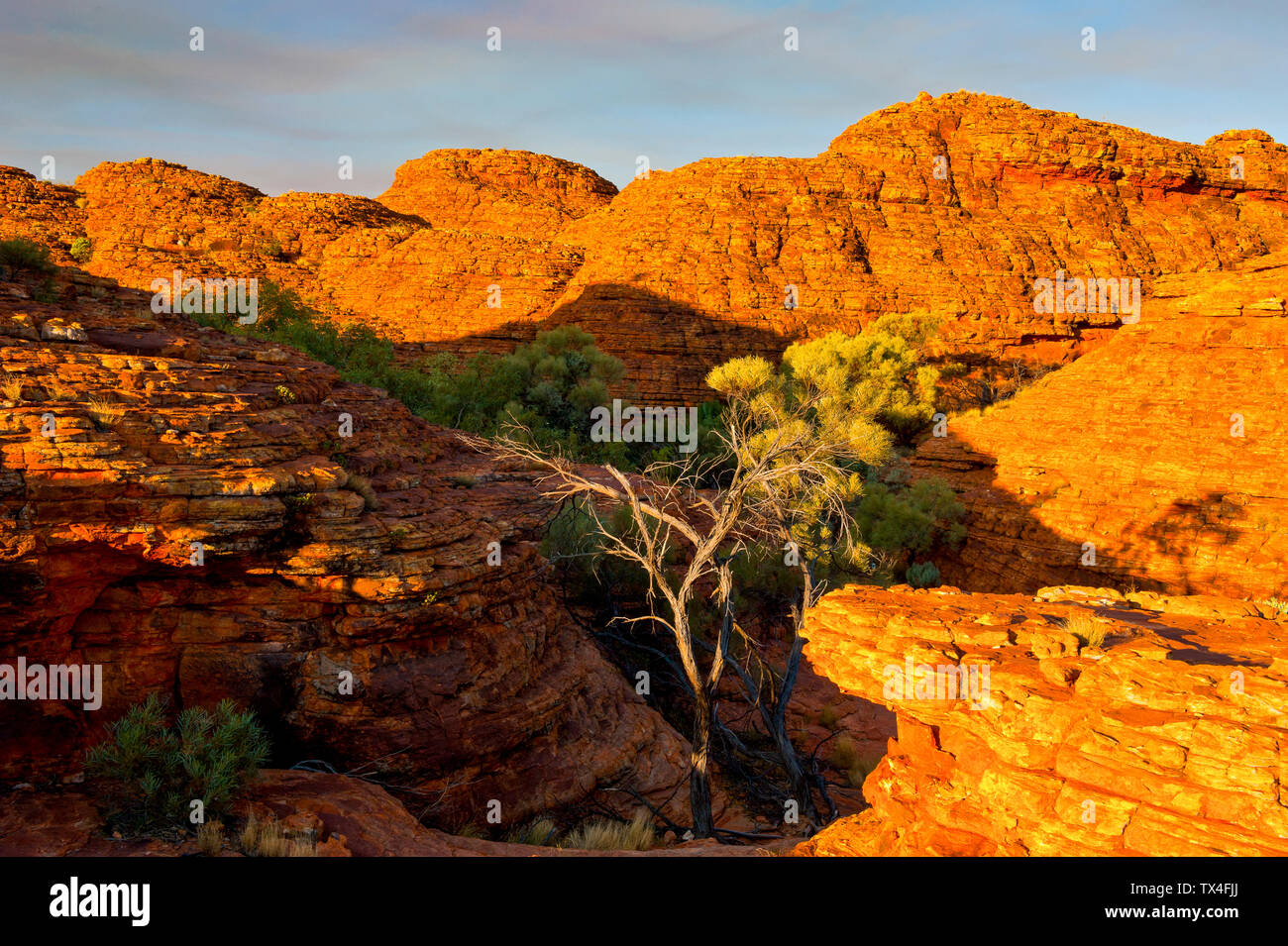 Kings canyon and watarrka national park hi-res stock photography and ...
