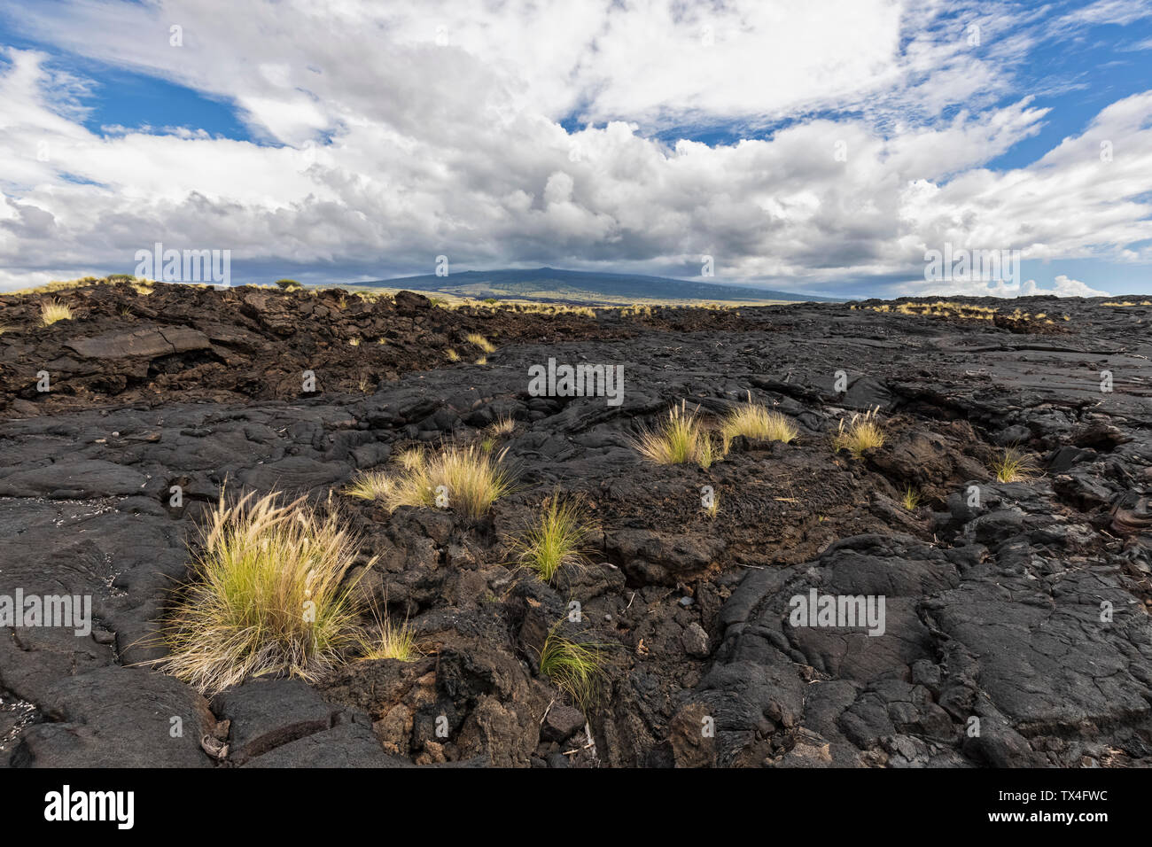 Lava field hi-res stock photography and images - Alamy