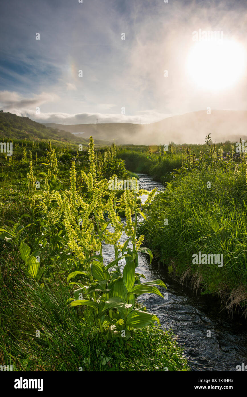 Russia, Kamchatka, early morning fog above a little creek below ...