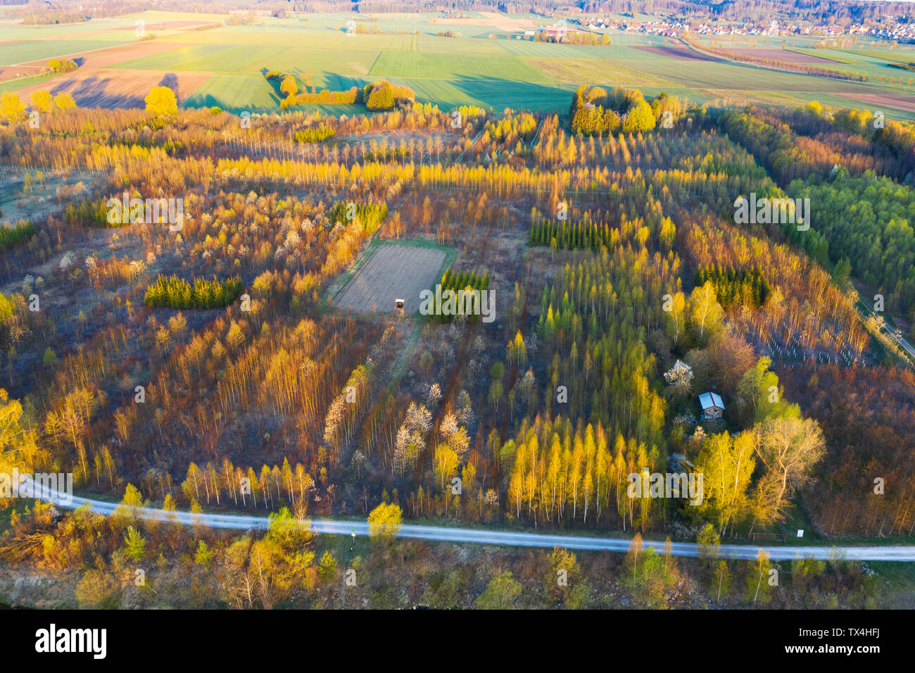 Reforestation drone hi-res stock photography and images - Alamy