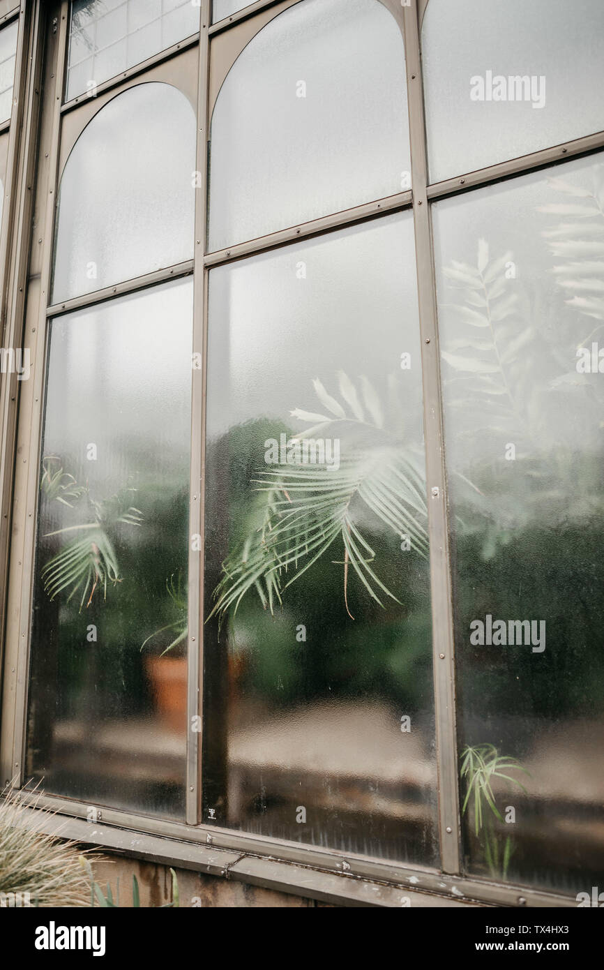 Window greenhouse hi-res stock photography and images - Alamy