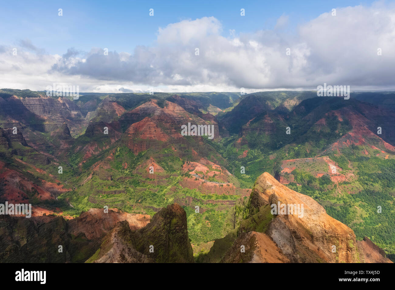 Waimea canyon state park hi-res stock photography and images - Alamy