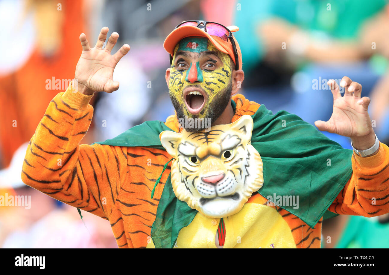 A Bangladesh fan dressed as a tiger shows their support during the ICC ...