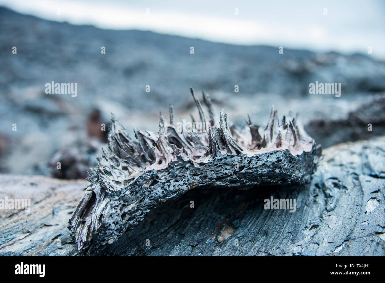Cold lava after an eruption of Tolbachik volcano, Kamchatka, Russia ...