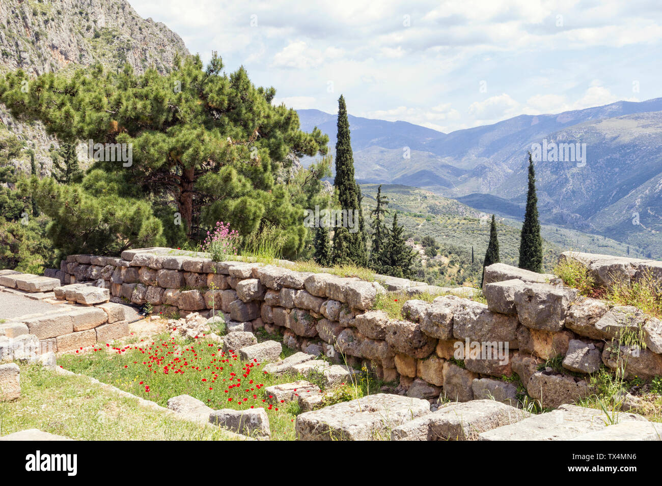 The archaeological site of delphi hi-res stock photography and images ...